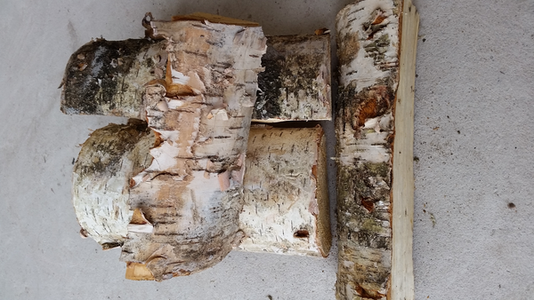 The benefits of burning Kiln Dried Silver Birch Logs – logsandfuel